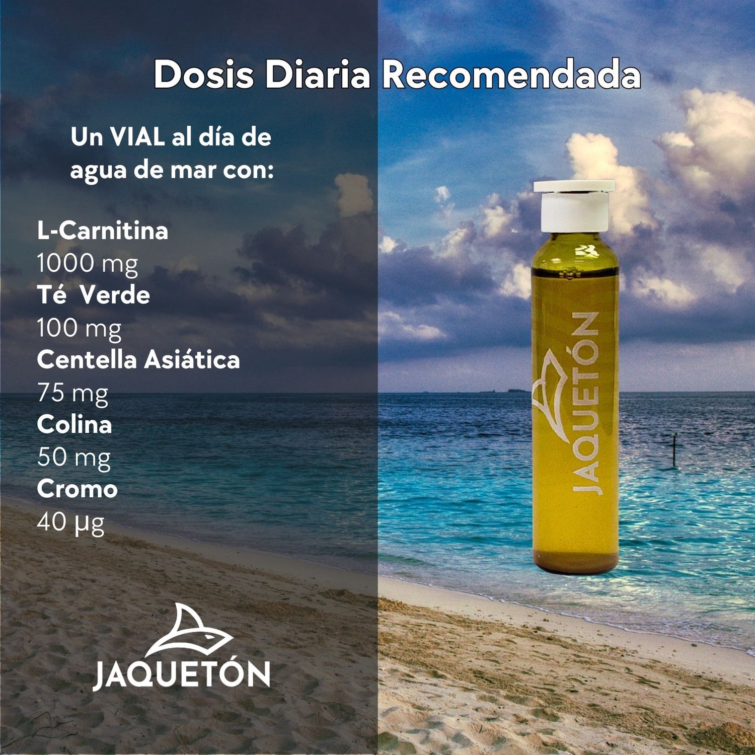 Ocean Diet controla tu peso y protege tu corazón – Jaqueton ...